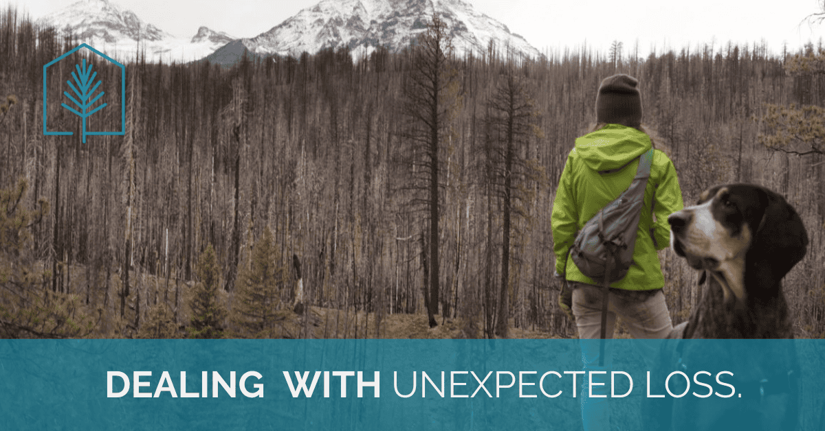 Dealing with Unexpected Loss - Treehouse Wealth